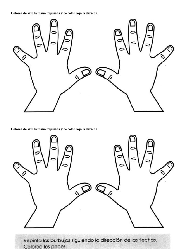 Colorea de Azul La Mano Izquierda y de Color Rojo La Derecha | PDF