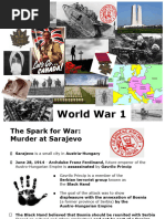 Causes of WWI: The MANIA Framework | PDF | World War I | Austria Hungary