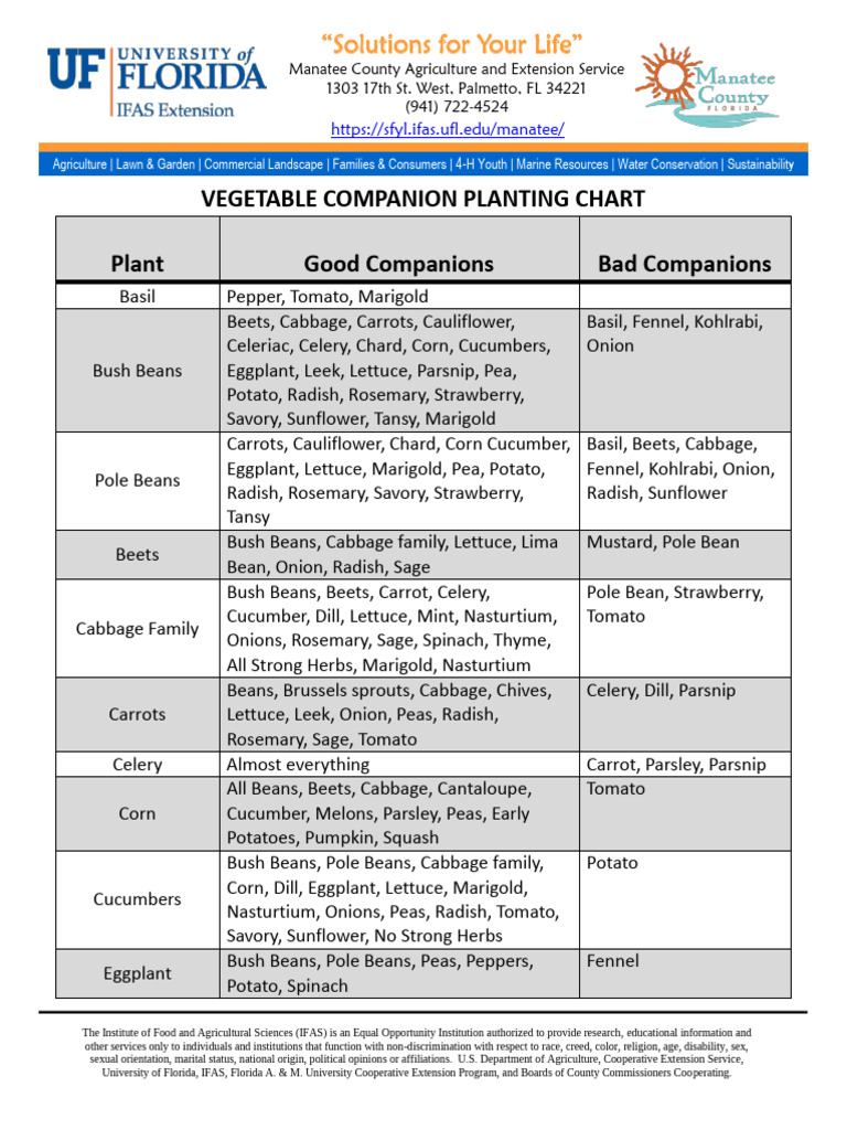 Companion Guide Uf | PDF
