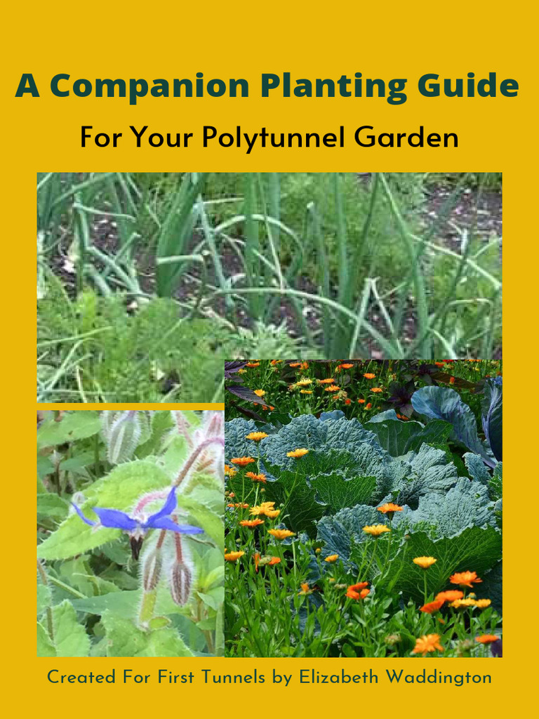 Companion Planting Guide Compressed | PDF | Perennial Plant | Forests