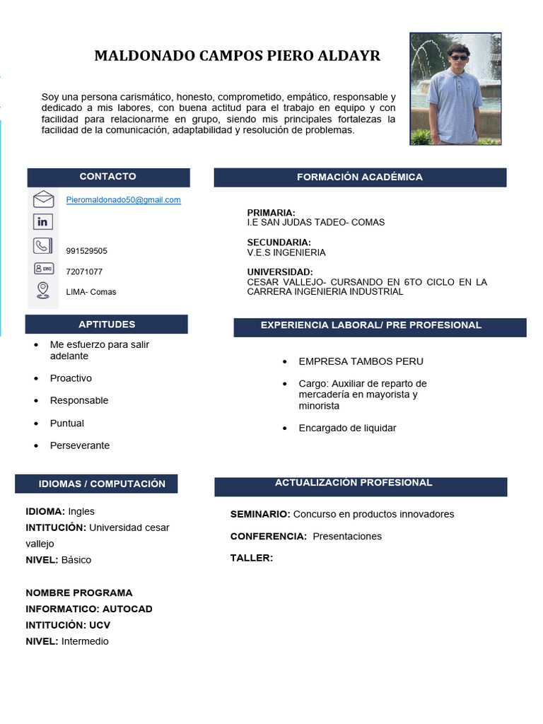 Formato CV - Piero | PDF