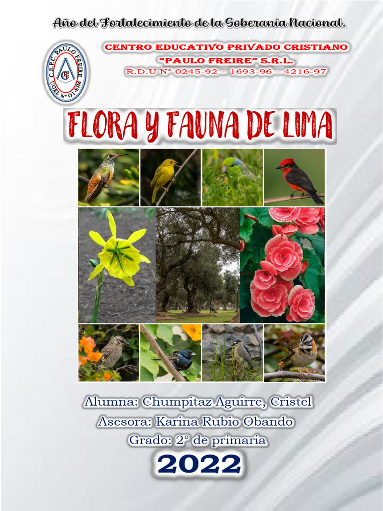 Flora y Fauna de Lima SI | PDF | Lima | Aves