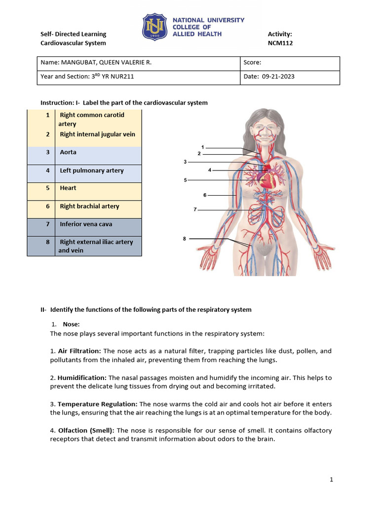 SDL On Respiratory Sytem | PDF | Respiratory Tract | Larynx
