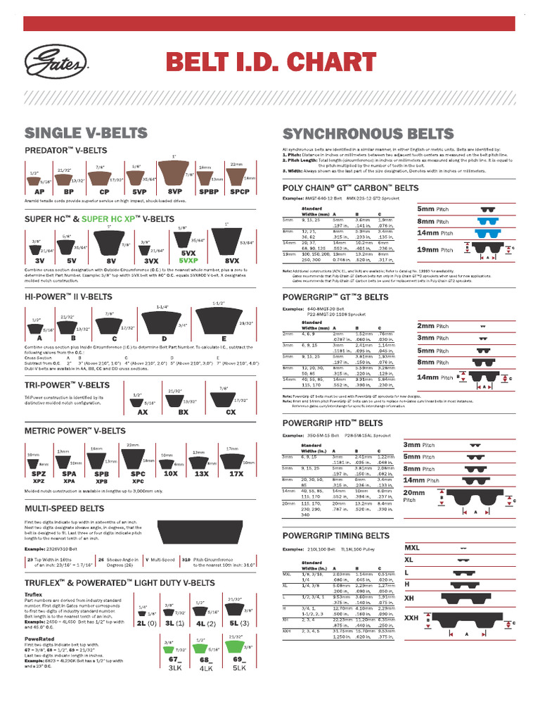 Ptir Belt Id Chart | PDF