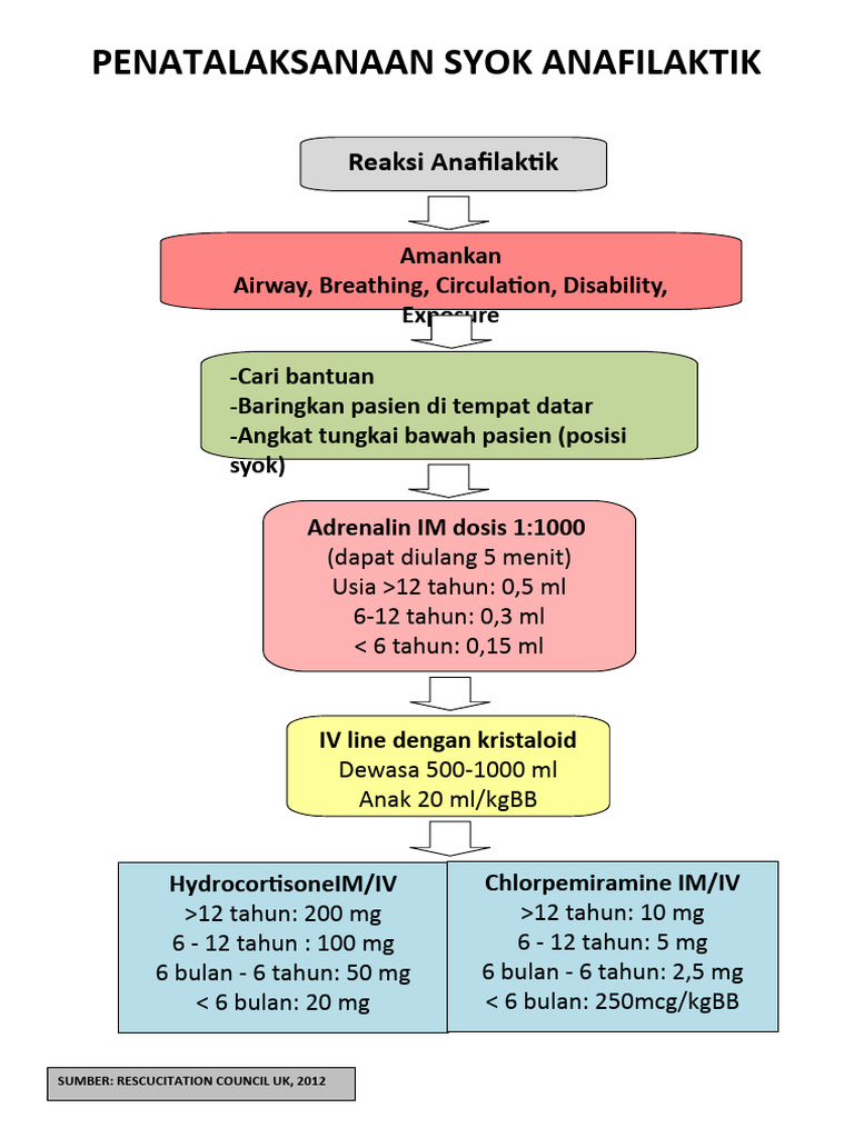 Syok Anafilaktik 2 | PDF