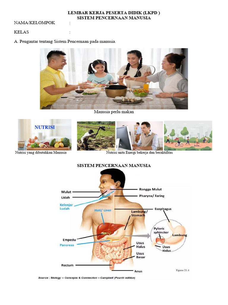 LKPD Bab 4.1,2 | PDF | Kesehatan Holistik
