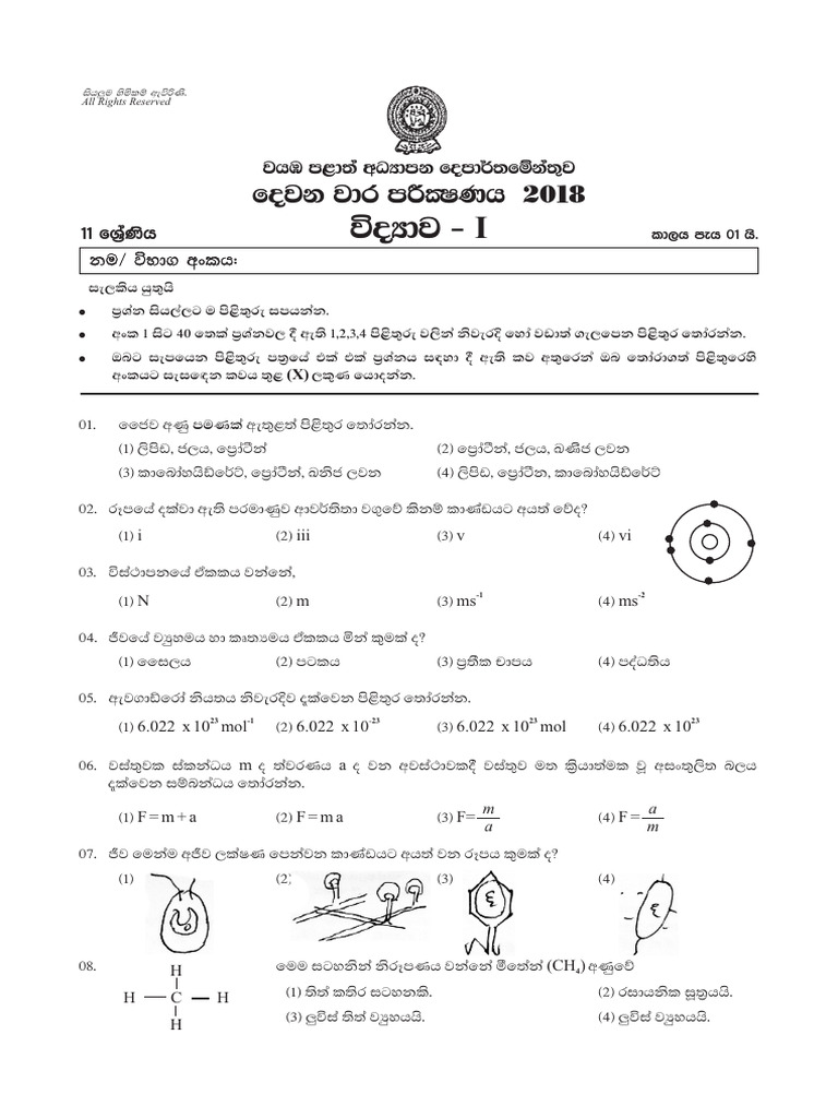 W - Grade 11 - Science | PDF