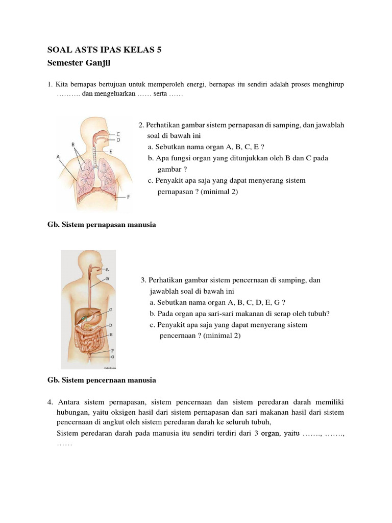Soal Asts Ipas Kelas 5 - 080729 | PDF