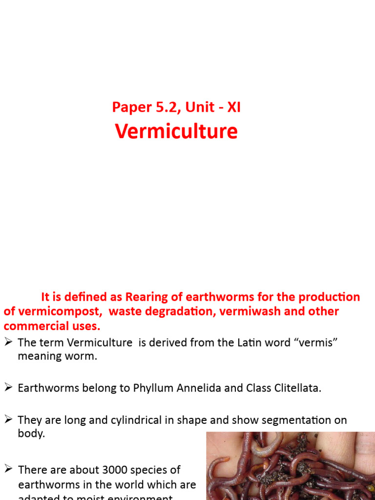Vermiculture | PDF | Home & Garden | Science & Mathematics