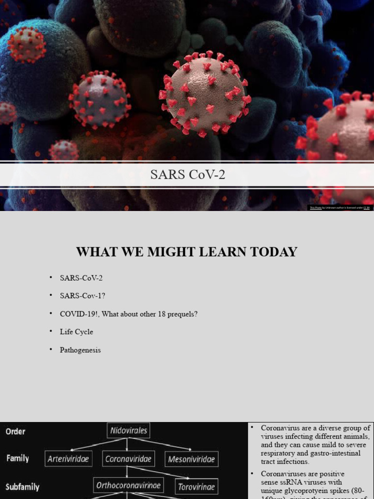SARS CoV 2 | PDF | Virus | Rna