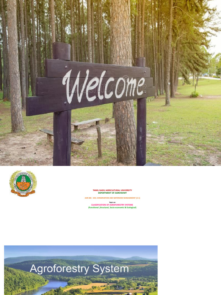 AGR 606 S. Manibharathi, Agroforestry System Classification | PDF | Earth Sciences | Agriculture