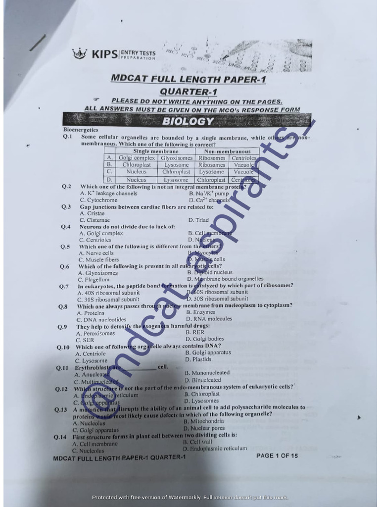 Kips FLP A Series 2022 by Miracle | PDF