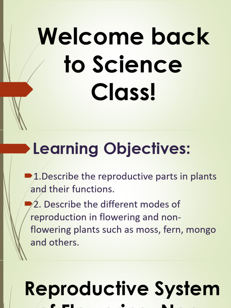 Reproductive System of Flowering, Non-Flowering, and Spore-Bearing ...