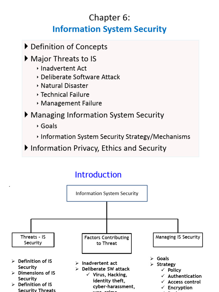 BIS Chapter 6 Class | PDF | Information Security | Computer Security