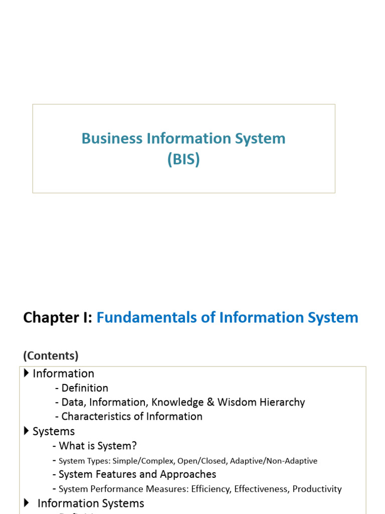 BIS Chapter 1 Class | Download Free PDF | Information System | System