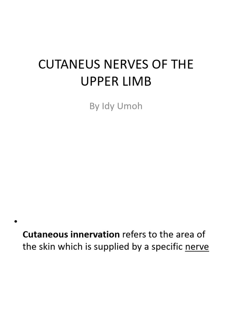 Cutaneous Nerves of The Upper Limb | PDF
