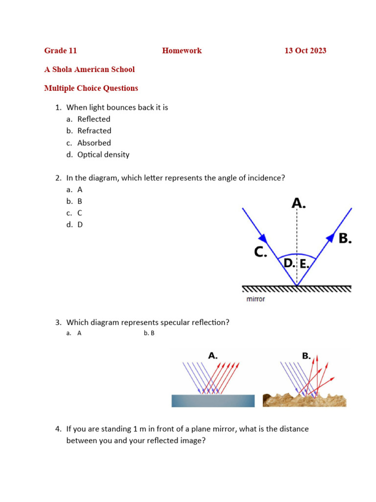 Reflection (Homework) SAS Grade 11 | PDF | Mirror | Reflection (Physics)