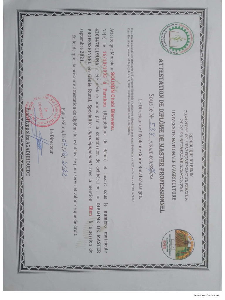 Diplôme Master | PDF