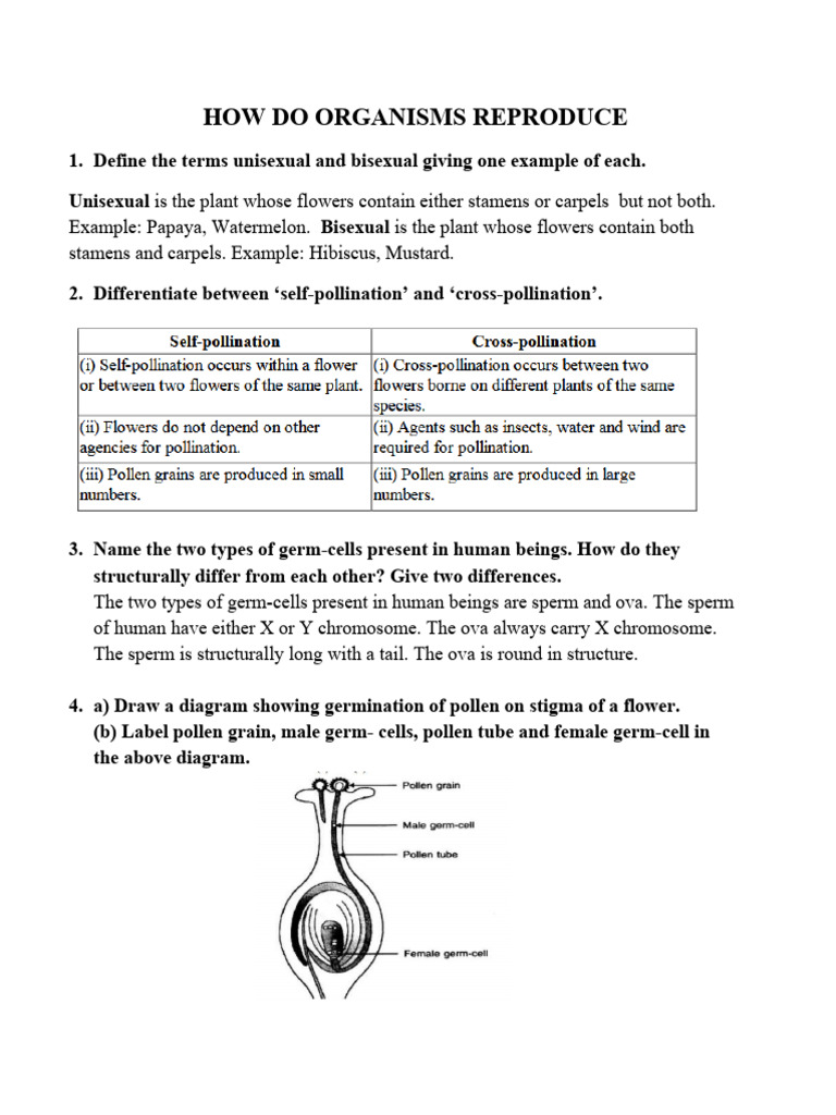 CSK W How Do Organisms Reproduce - 2 | PDF