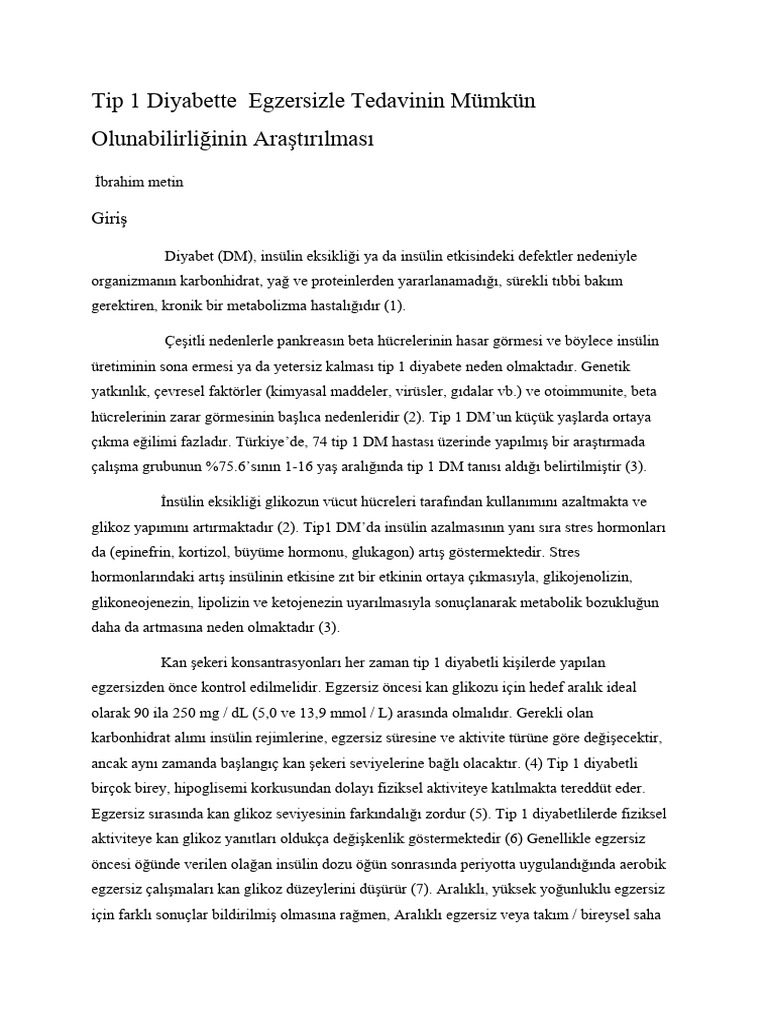 Ibrahim Metin Pdf