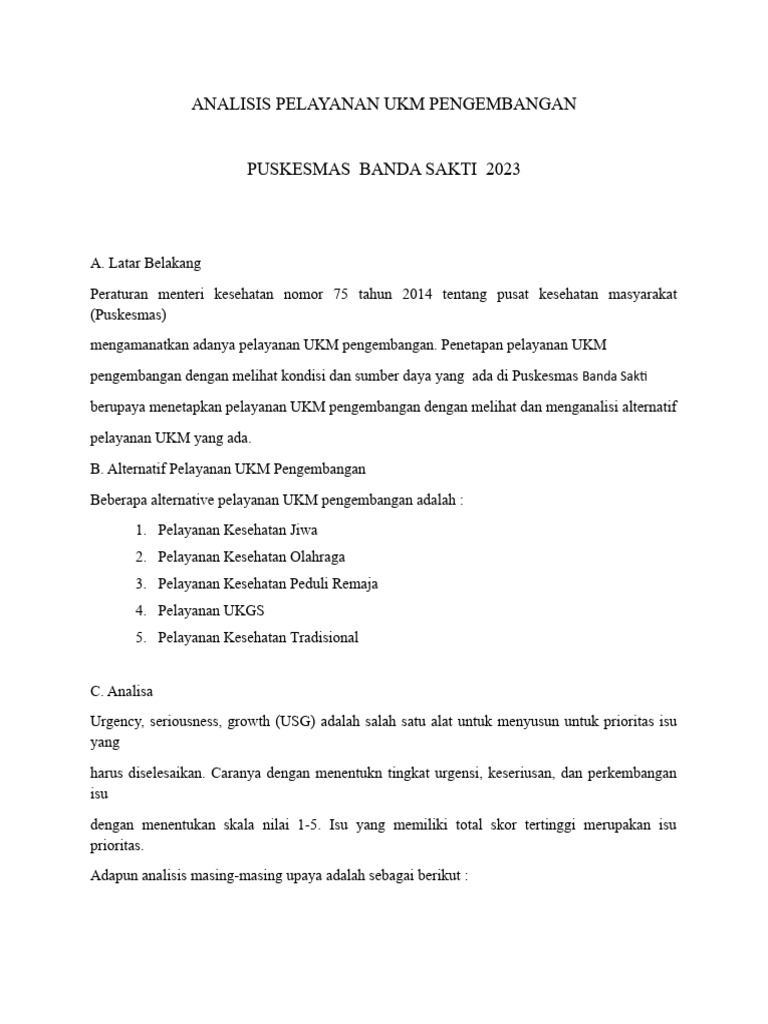 Analisis Pelayanan Ukm Pengembangan | PDF