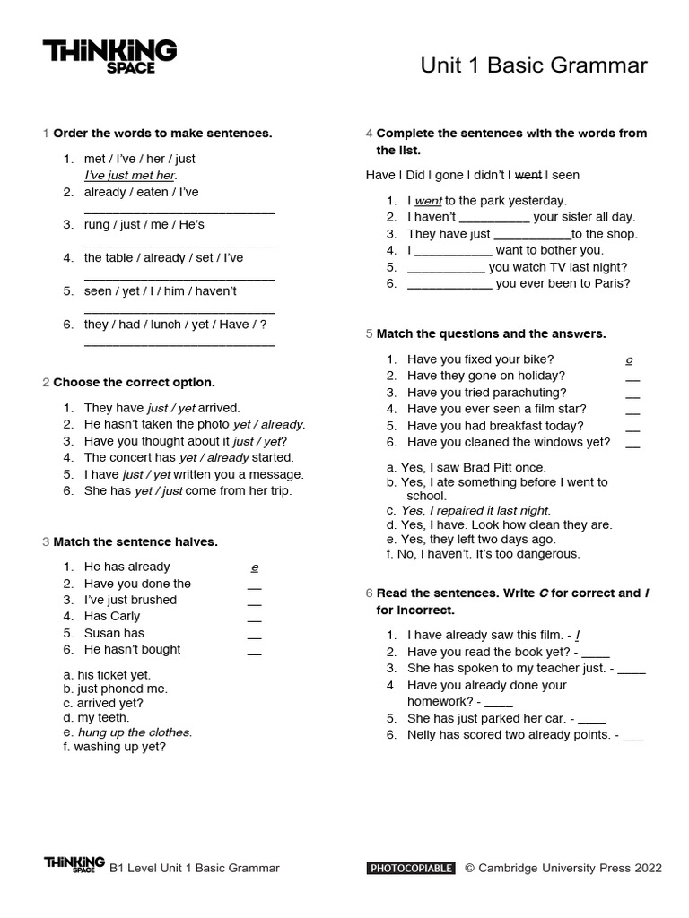 B1 Level Basic Grammar Exercises | PDF