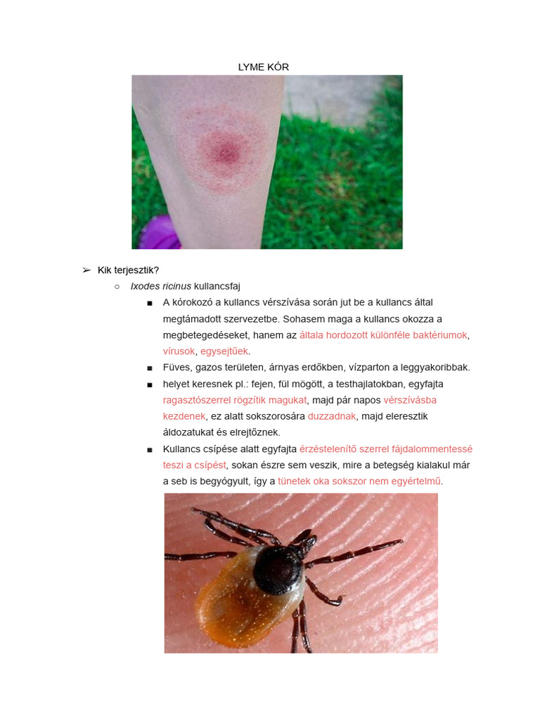Lyme Kor | PDF