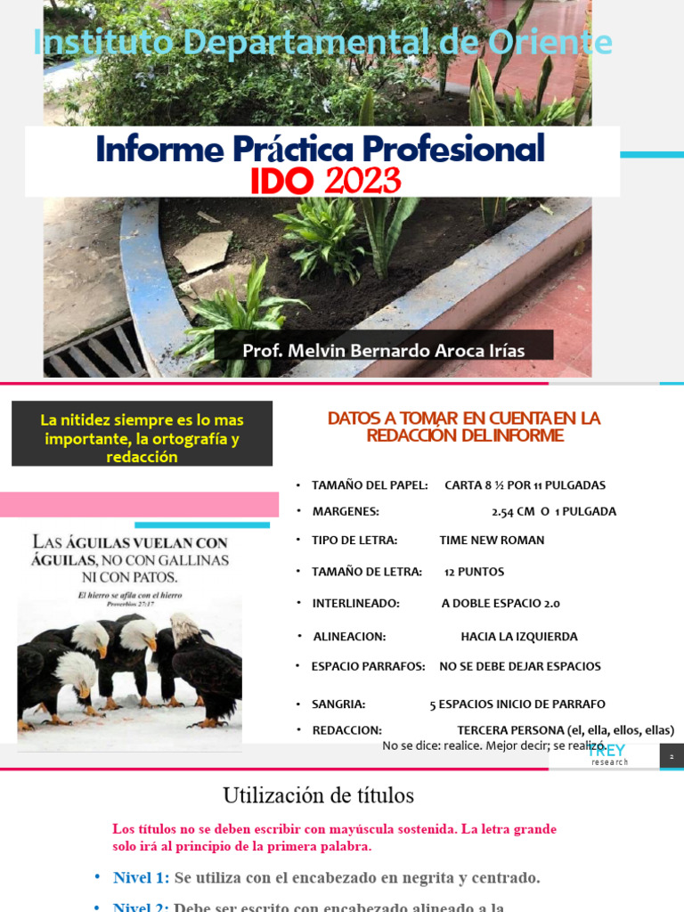 Informe de Practica Profesional BTPCF 2023 | PDF | Business