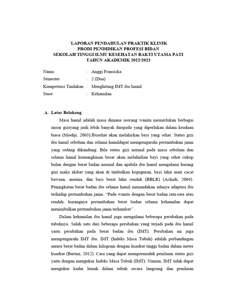 LP Memantau Imt Ibu Hamil - Anggi Fransiska | PDF