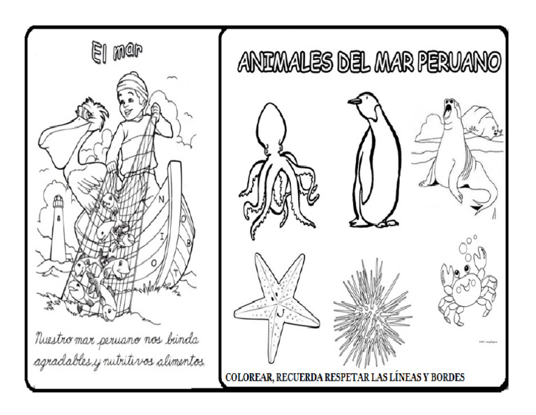 Ficha - Mar Peruano | PDF