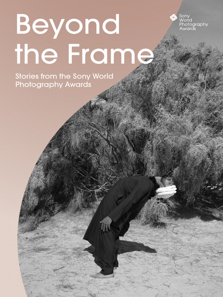 Beyond The Frame Booklet | PDF