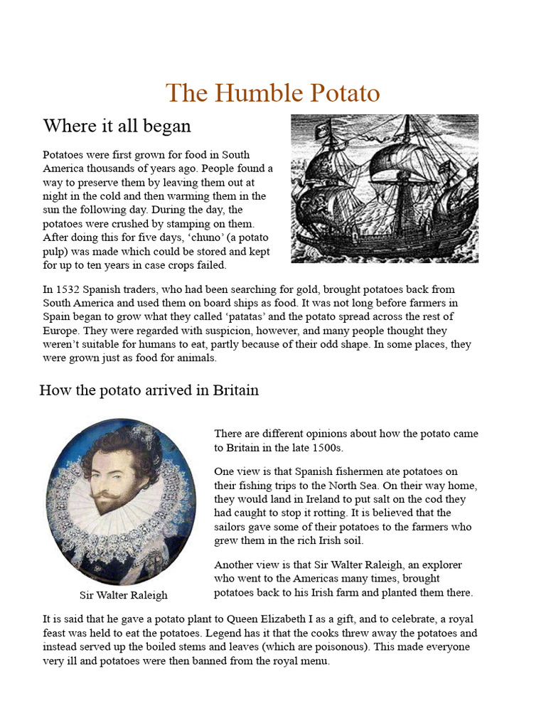 Humble-potato-Wednesday-reading | PDF | Potato | Food Industry