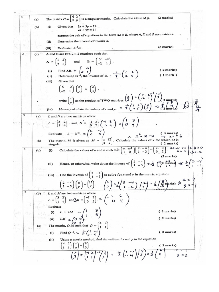 Matrices Worksheet Answers | PDF