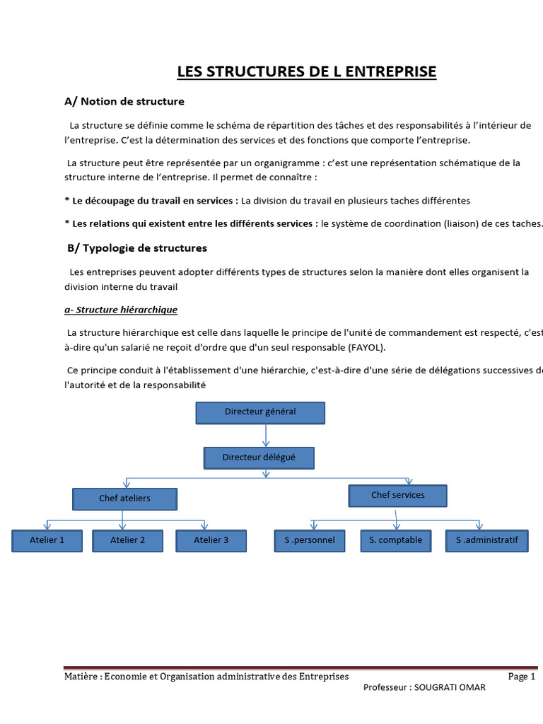 Structures de L Entreprise | PDF | Affaires