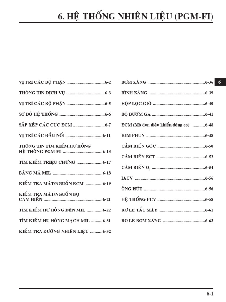Chương 6 Hệ thống nhiên liệu PGM-FI P1 | PDF