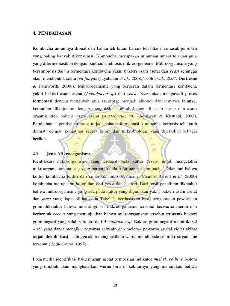 13.70.0170 Anna Paramita Efivani BAB IV | PDF