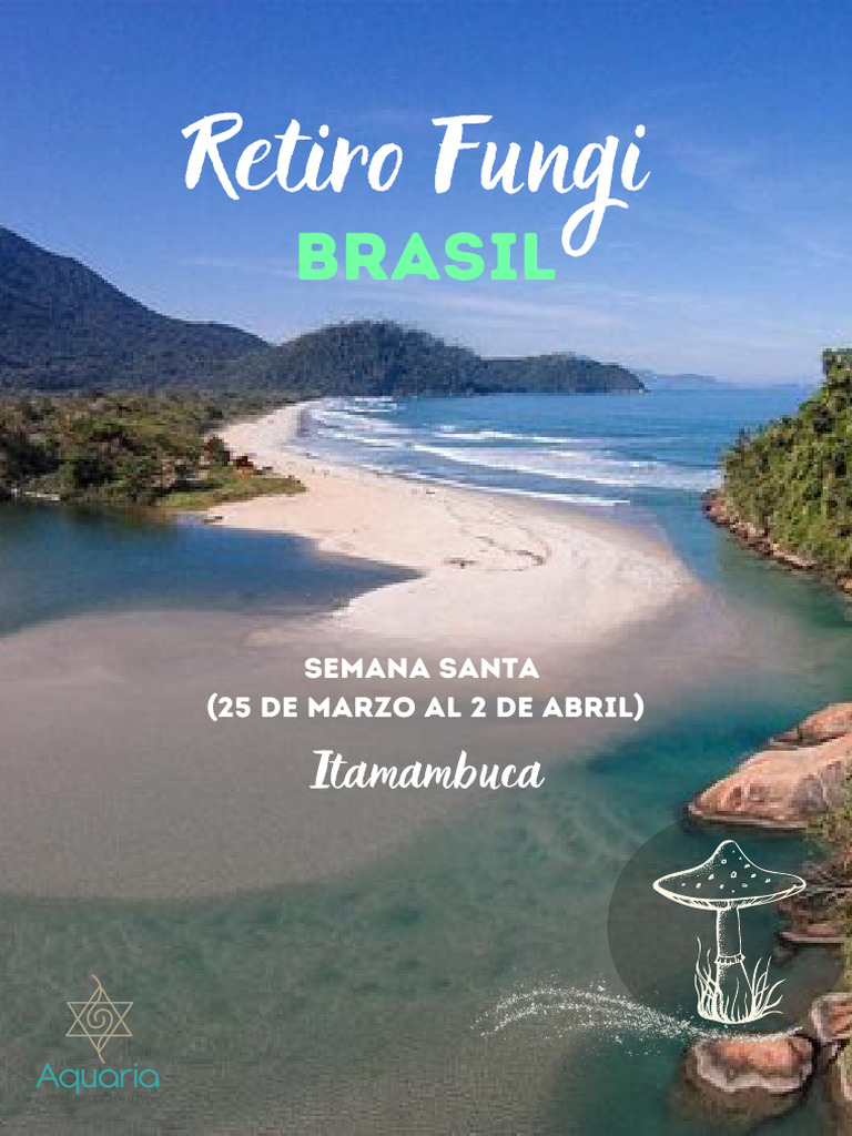 Retiro Fungi 2024 | PDF