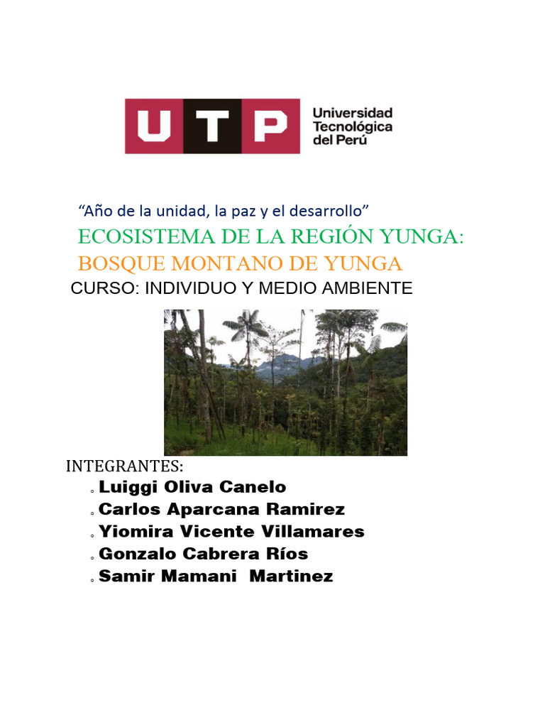 Ecosistema de La Región Yunga | PDF | Ciencias sociales