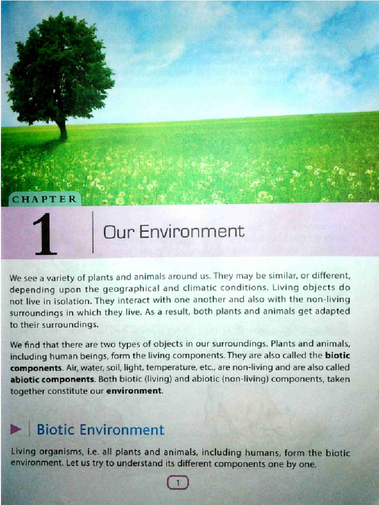 Class 6 Science | PDF