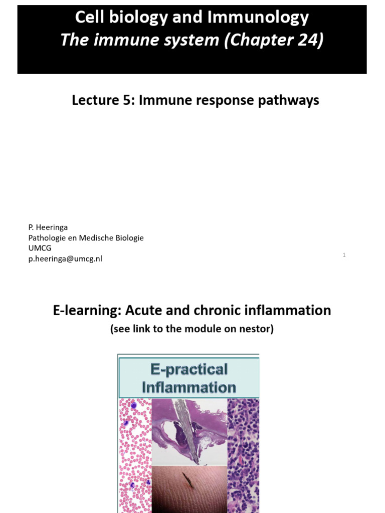 Cell Biology and Immunology Lecture 5 en 6 2023 | PDF