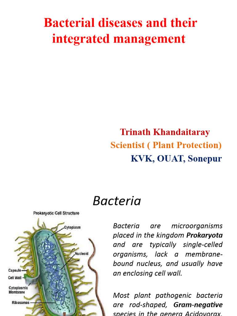 Bacterial Diseases and Their Integrated Management | PDF | Bacteria ...