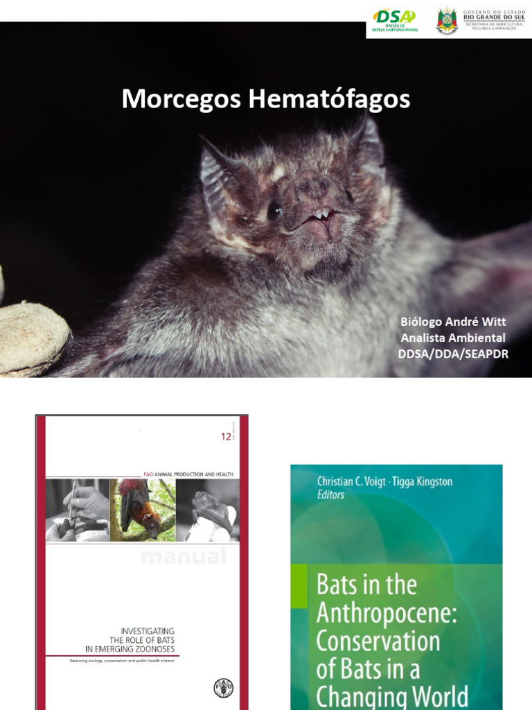 Morcegos Hematofagos | PDF | Morcego
