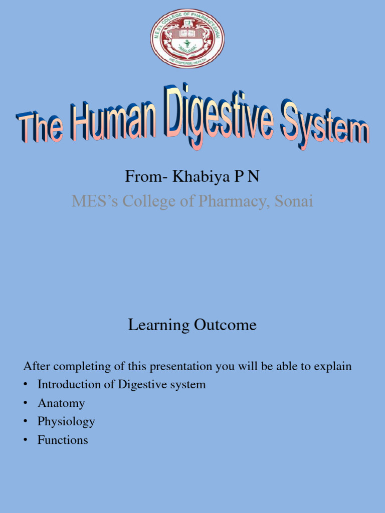 The Human Digestive System | PDF | Digestion | Gastrointestinal Tract