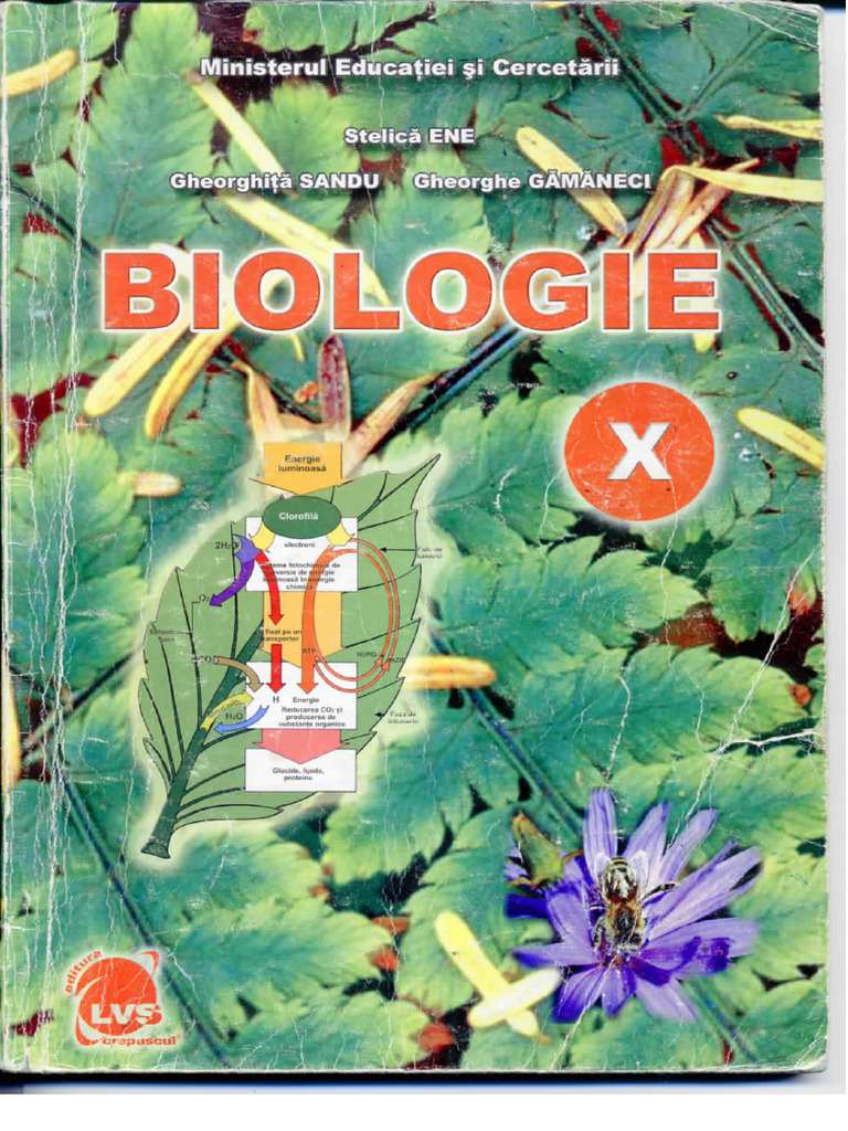 Biologie X | PDF
