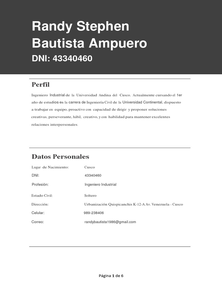 CV Randy Bautista Ampuero | PDF | Business
