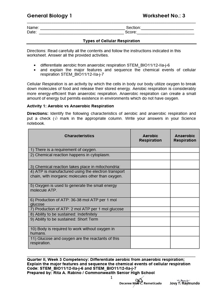 Types of Cellular Respiration | PDF | Cellular Respiration | Cellular ...