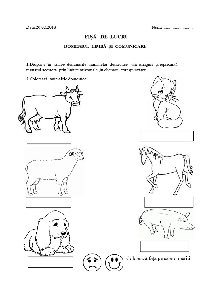 Fisa Animale Despartirea in Silabe | PDF
