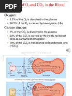 Pulmonology: Bronchoscopy Procedure Note Sample::&J-F-M) KG) :F&X"8 ...