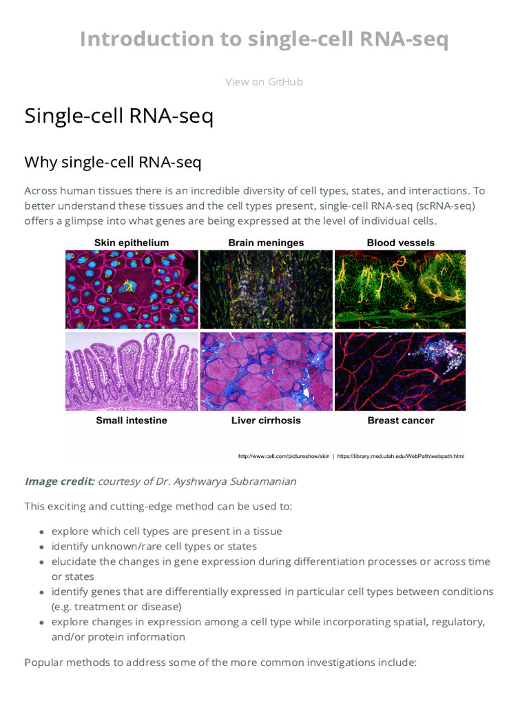 Introduction To Single-Cell RNA-seq | PDF | Gene Expression | Transcriptome