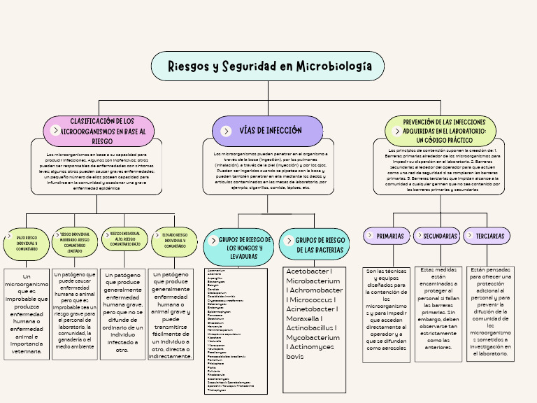 Mapa Conceptual de Riesgos | PDF Mapa Conceptual de Riesgos | PDF